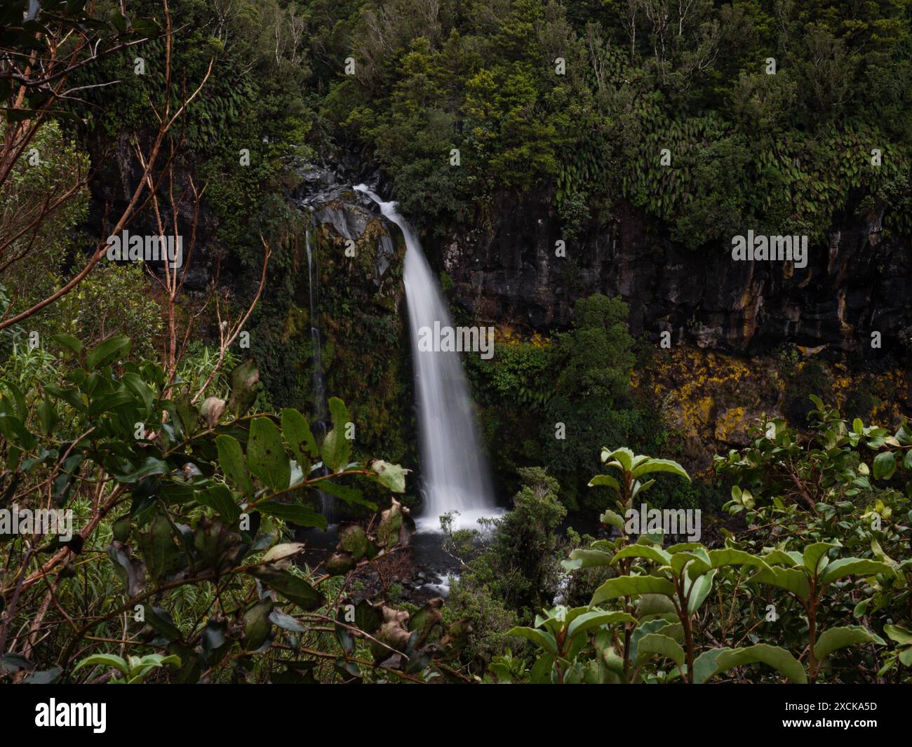 Long exposure nature landscape of Dawson Falls Te Rere O Kapuni ...