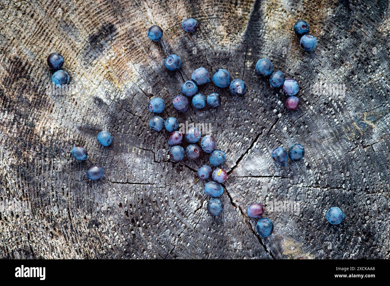 Natural wooden background. Food background. Blueberries ripe and tasty ...