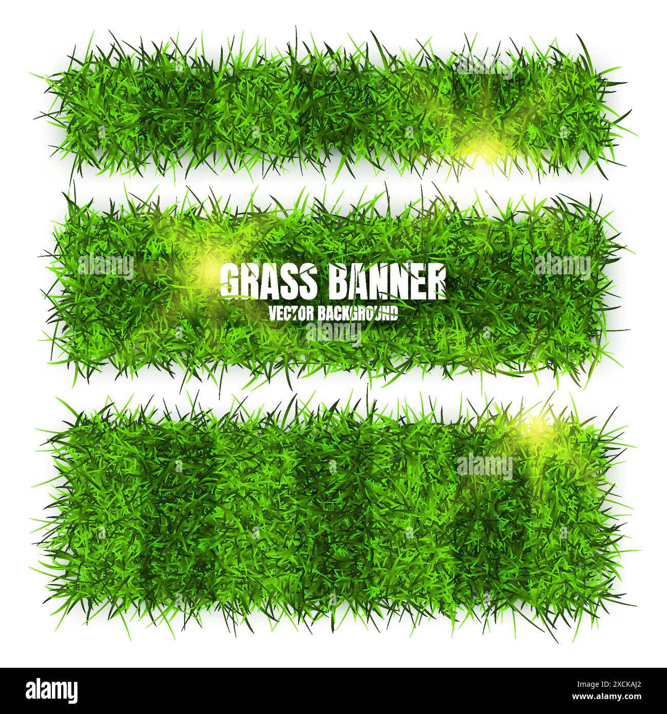 Green grass banners, background. Field, meadow texture, grassy ...