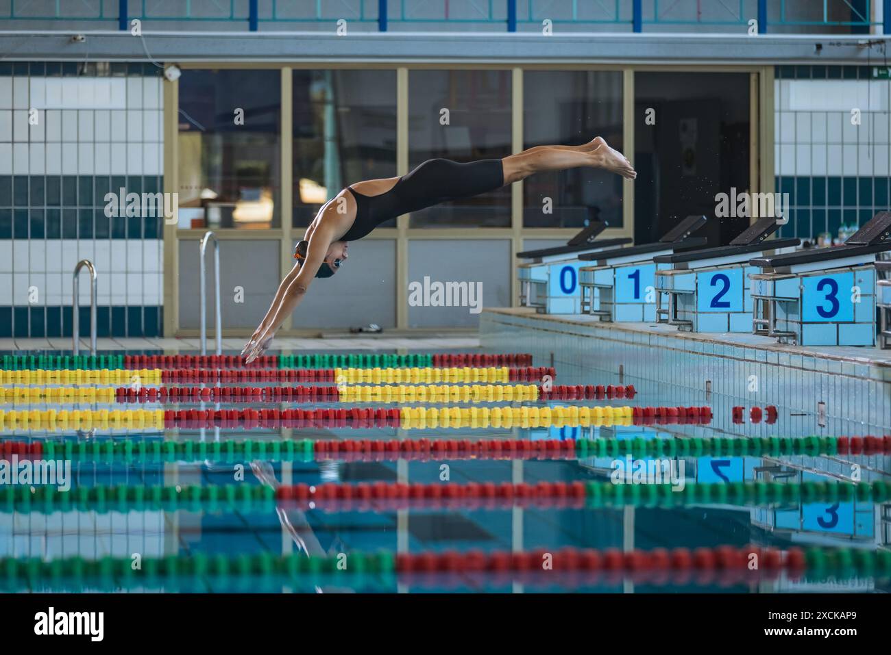 Professional female swimmer preparing and jumping off the starting ...