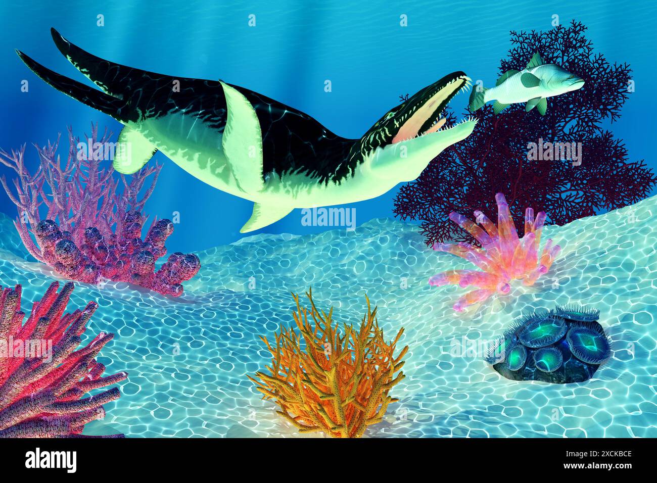 Pliosaur hi-res stock photography and images - Alamy
