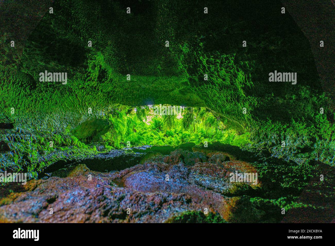 Interior of the frei Matias cave, lava cone, island of Pico ...