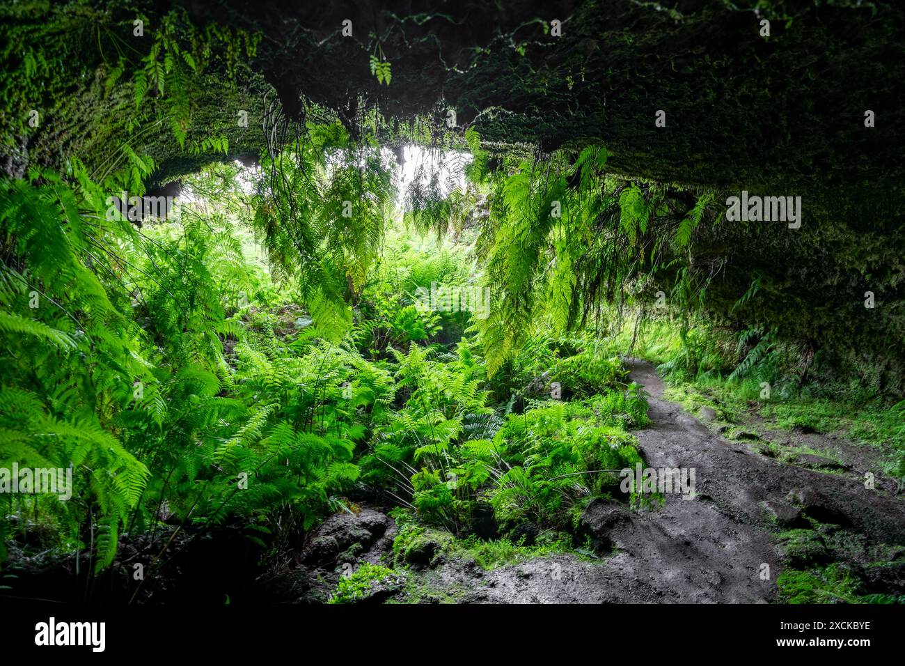 Pico cave hi-res stock photography and images - Alamy