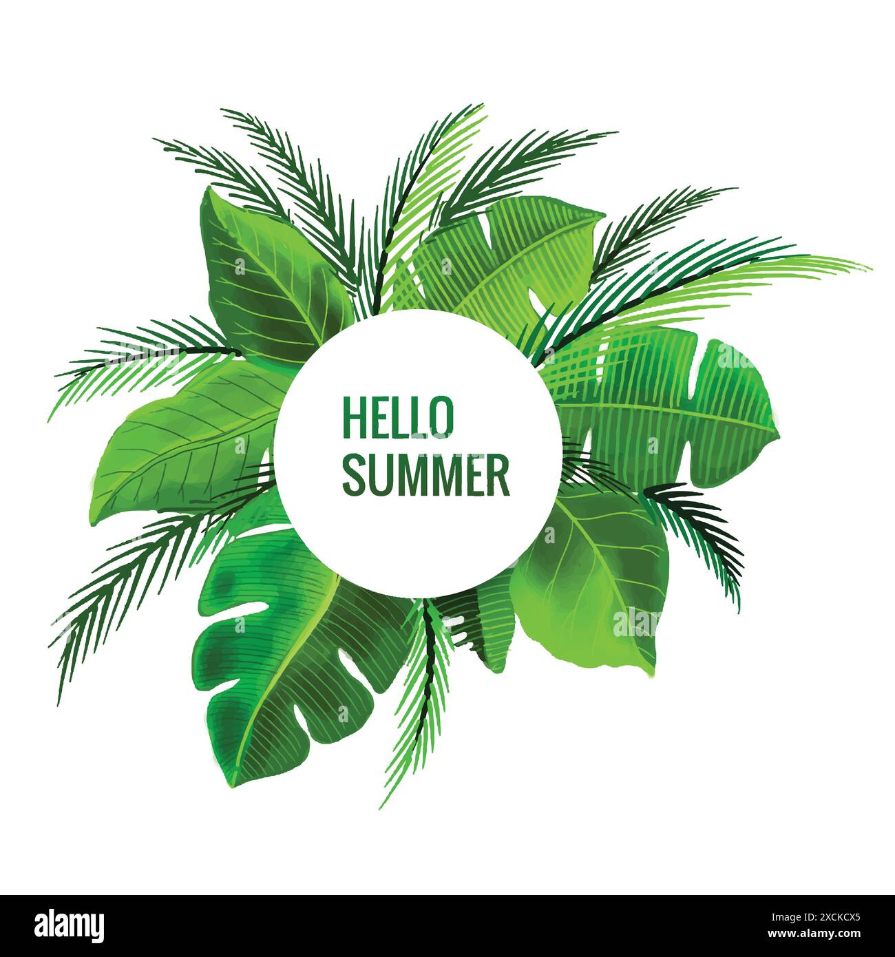 Hello summer tropical leaves Cut Out Stock Images & Pictures - Alamy