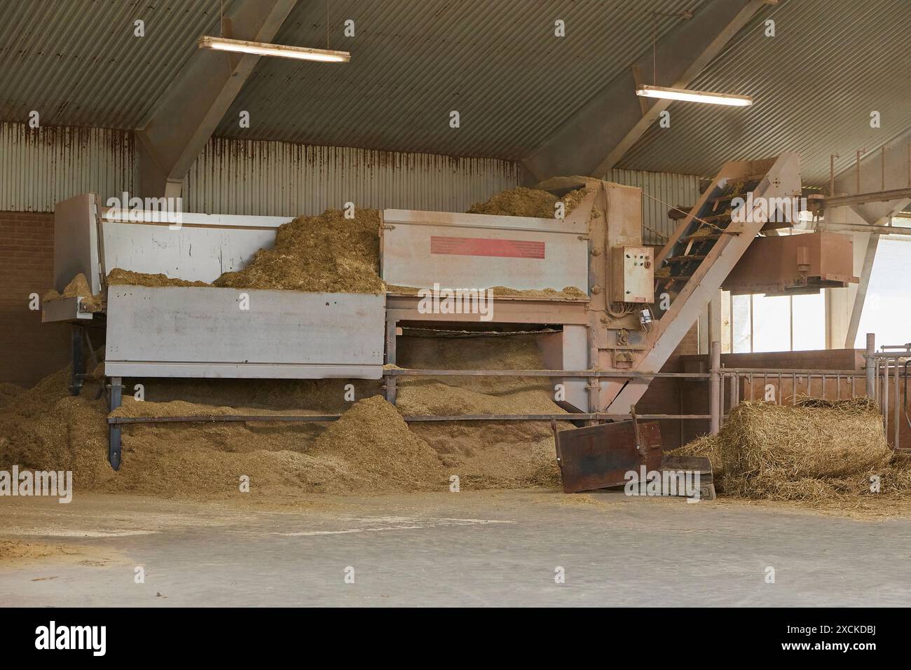 An automatic machine delivering hay to cows on a farm in Denmark Stock ...