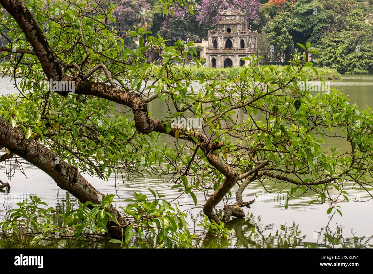 Alluring, astounding, breathtaking, compelling, excellent, glorious ...