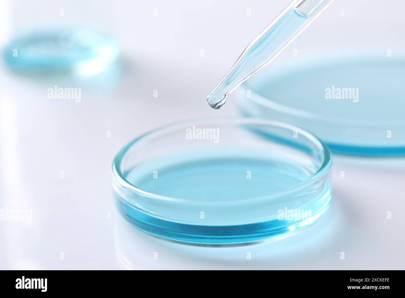 Dripping liquid from pipette into petri dish at white table, closeup ...