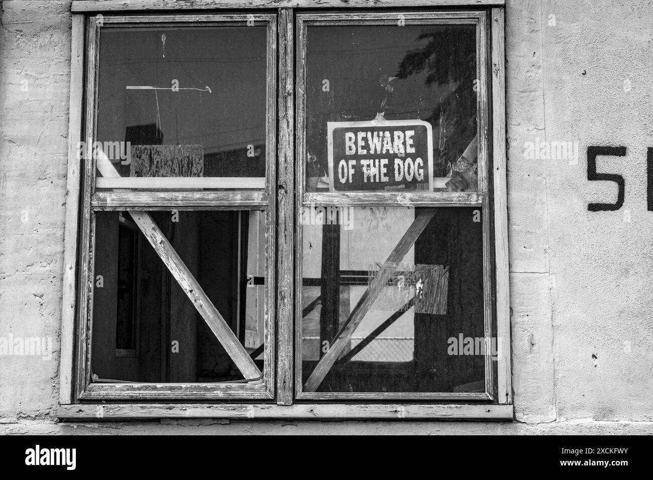 Collar next Black and White Stock Photos & Images - Alamy