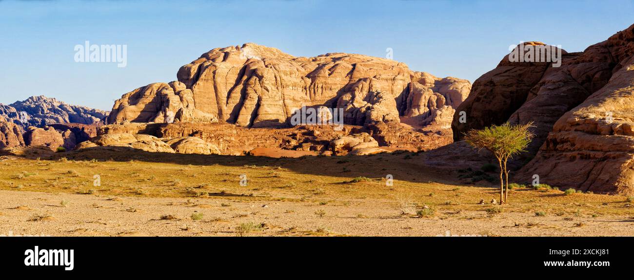 Bushes and steep buttes in Wadi Rum valley, Jordan Stock Photo - Alamy