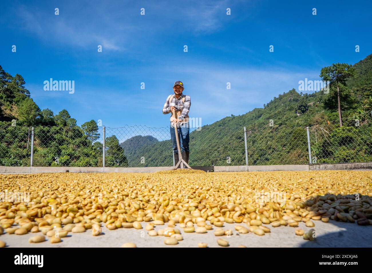 Drying process on the terraces of houses Guatemala Stock Photo - Alamy