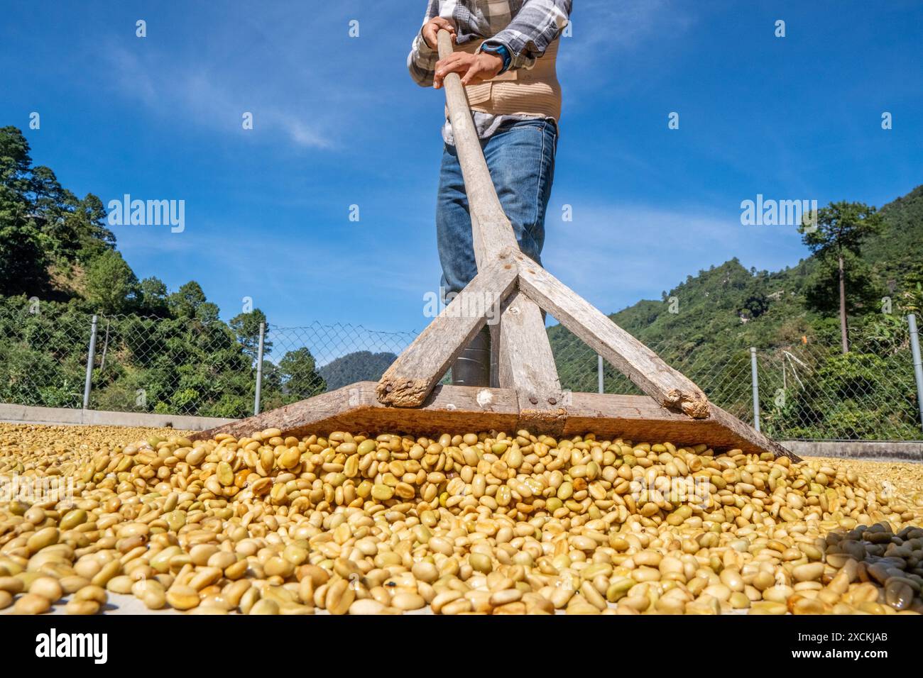 Drying process on the terraces of houses Guatemala Stock Photo - Alamy