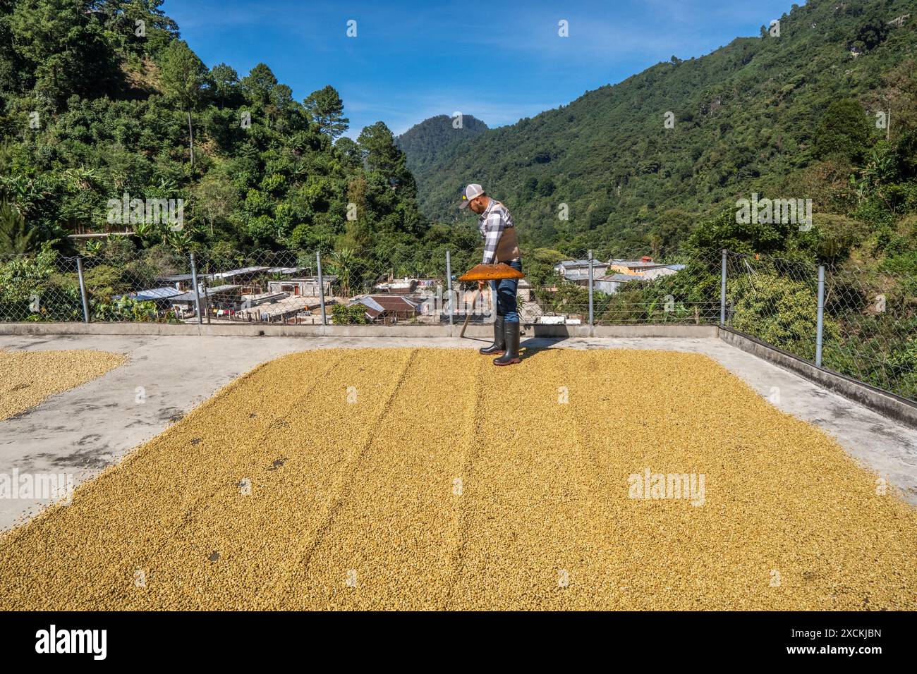Drying process on the terraces of houses Guatemala Stock Photo - Alamy