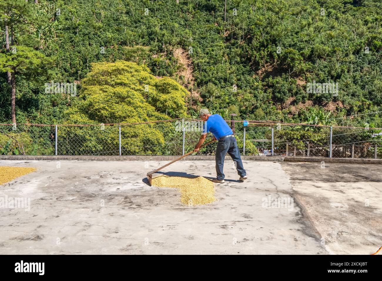 Drying process on the terraces of houses Guatemala Stock Photo - Alamy