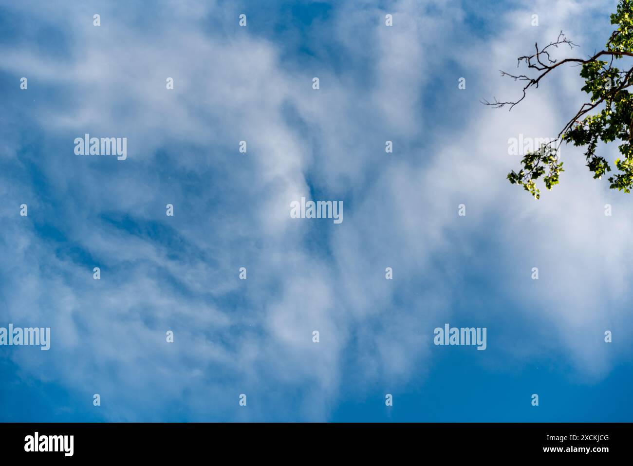 Stratiform hi-res stock photography and images - Alamy