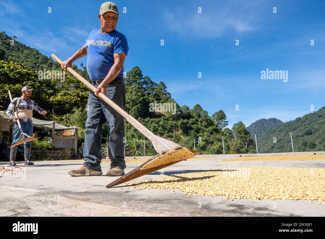 Drying process on the terraces of houses Guatemala Stock Photo - Alamy