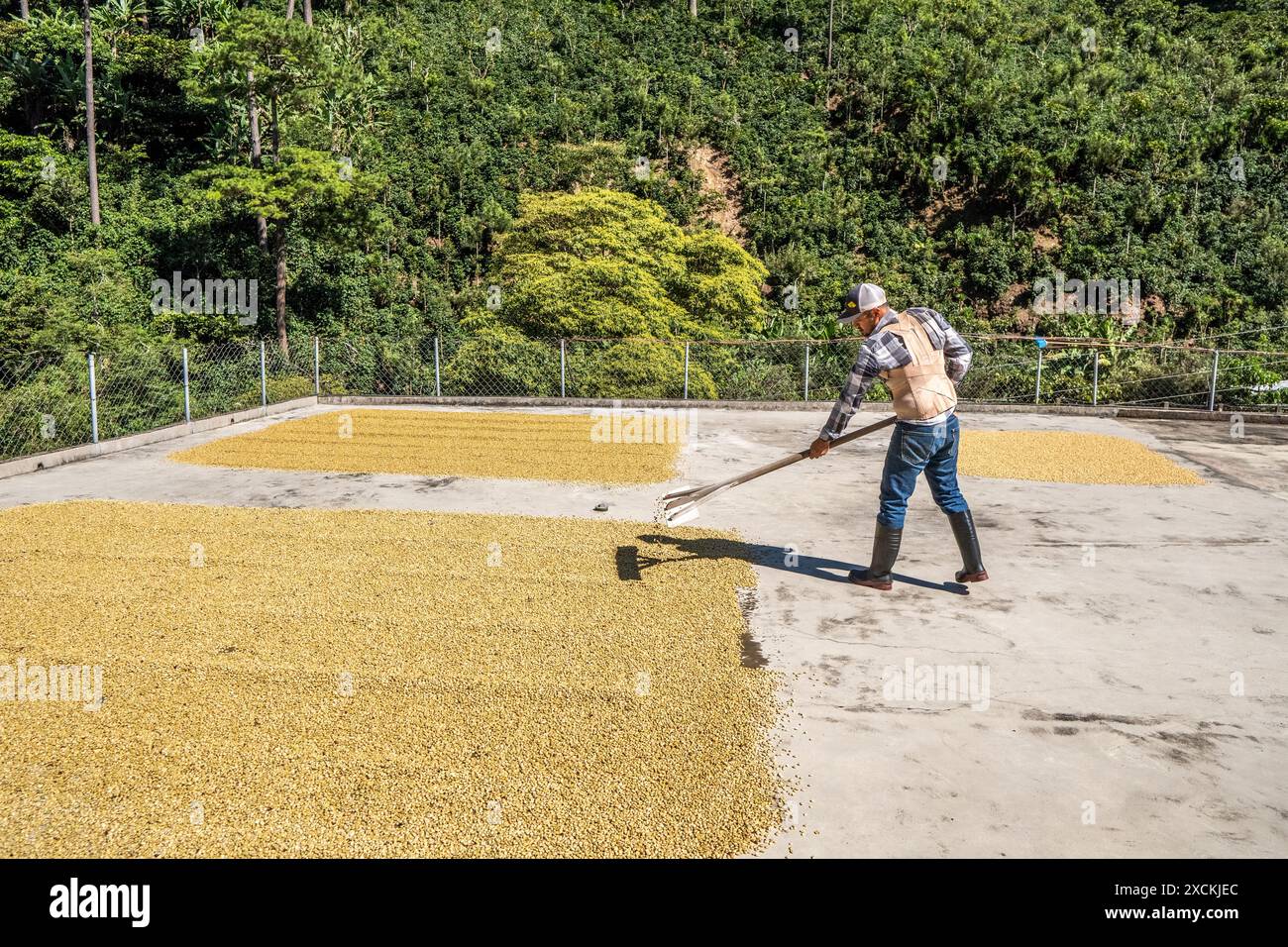 Drying process on the terraces of houses Guatemala Stock Photo - Alamy