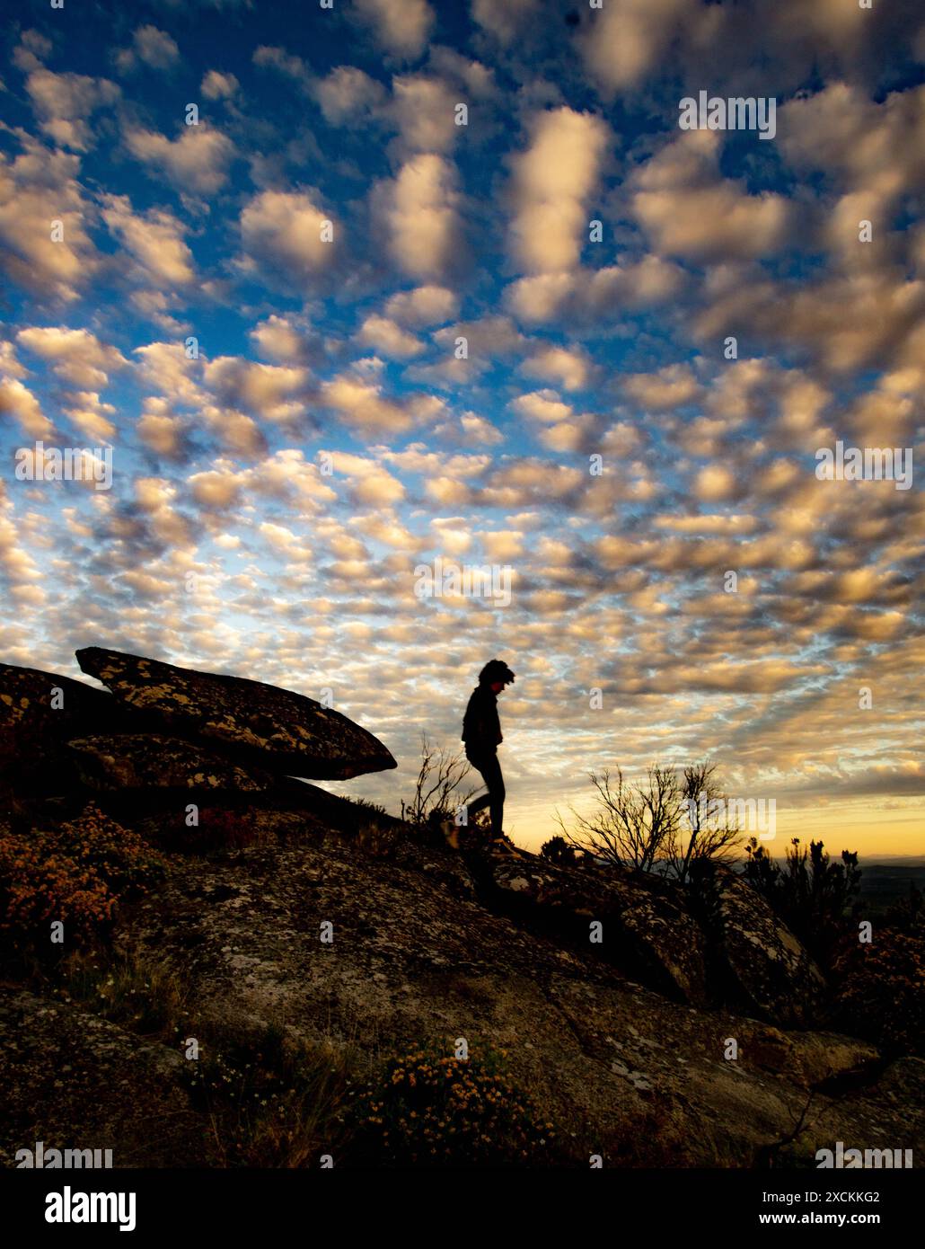 Human silhouette at sunset Stock Photo - Alamy