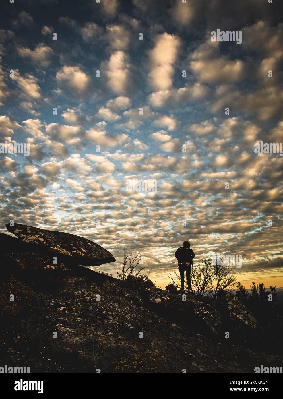 Human silhouette at sunset Stock Photo - Alamy