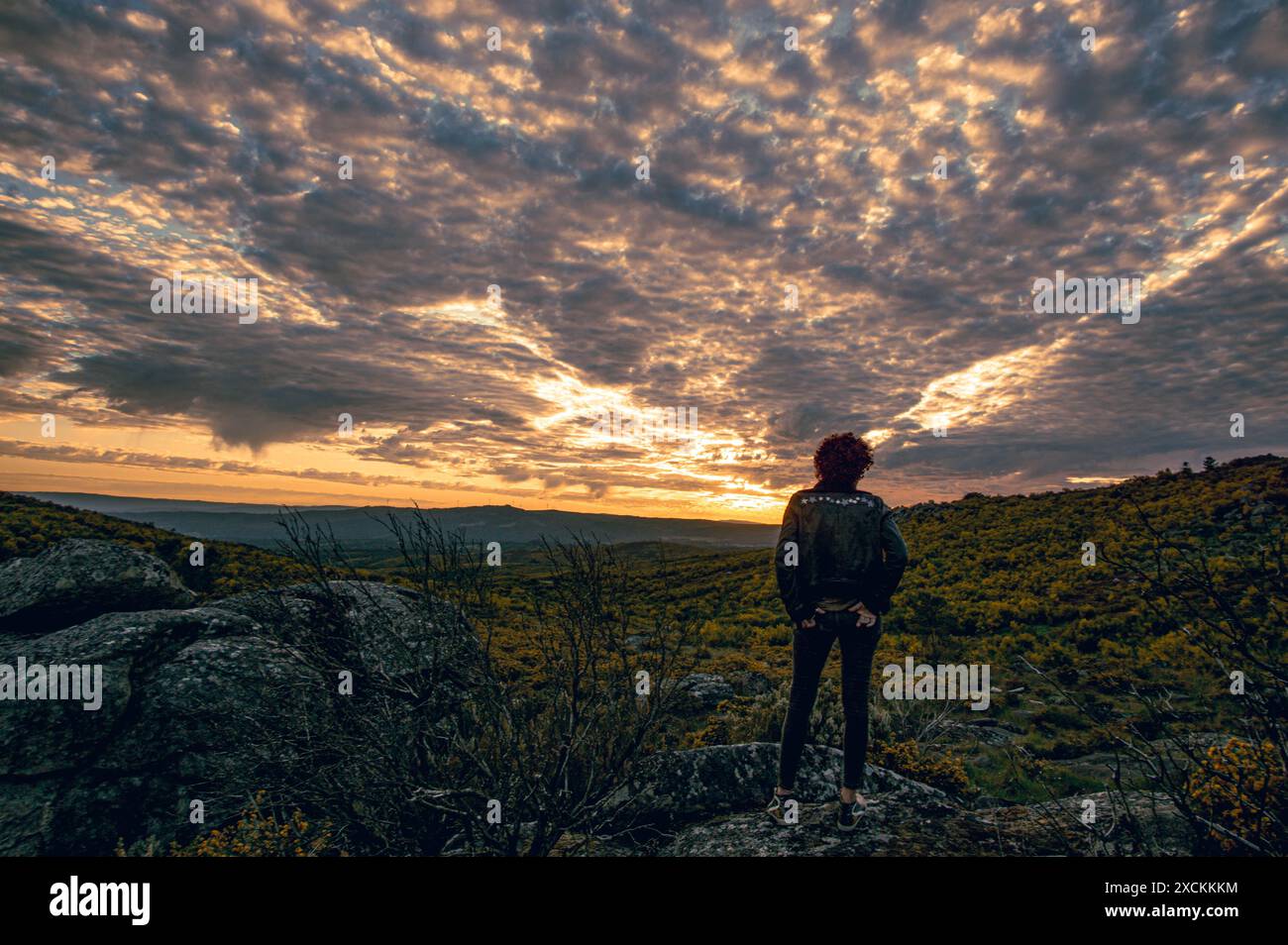Human silhouette at sunset Stock Photo - Alamy
