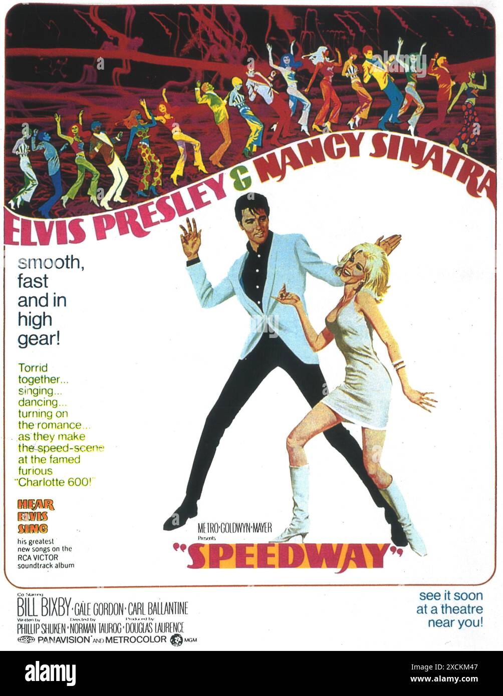 Taurog hi-res stock photography and images - Alamy