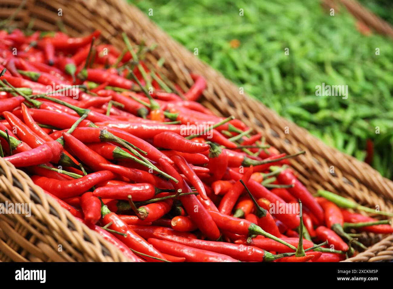 Red and green chili peppers in baskets. Hot spices at market Stock ...