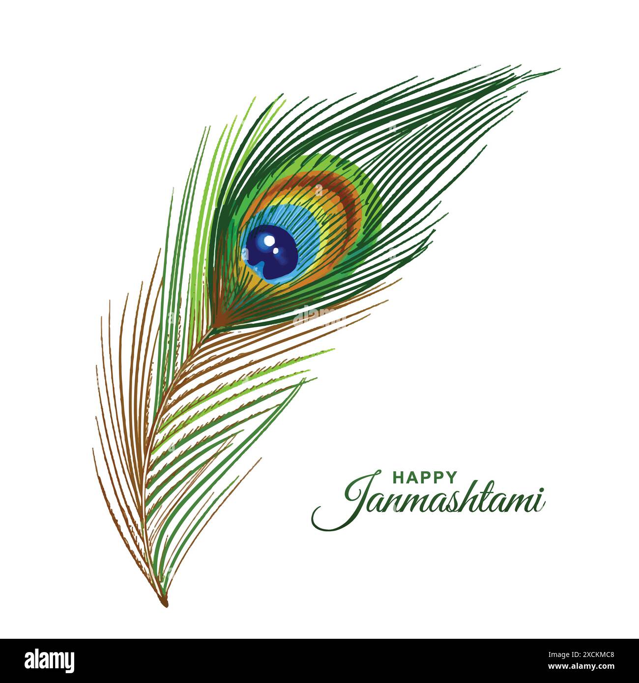 Realistic Peacock Feather Drawing Peacock Feathers Large