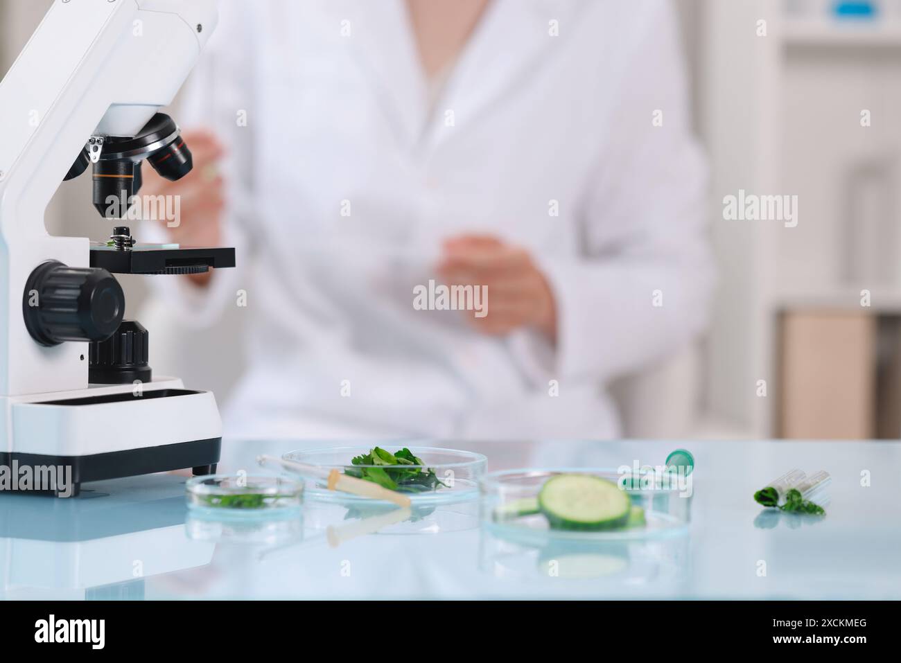 Quality control. Food inspector working in laboratory, focus on ...