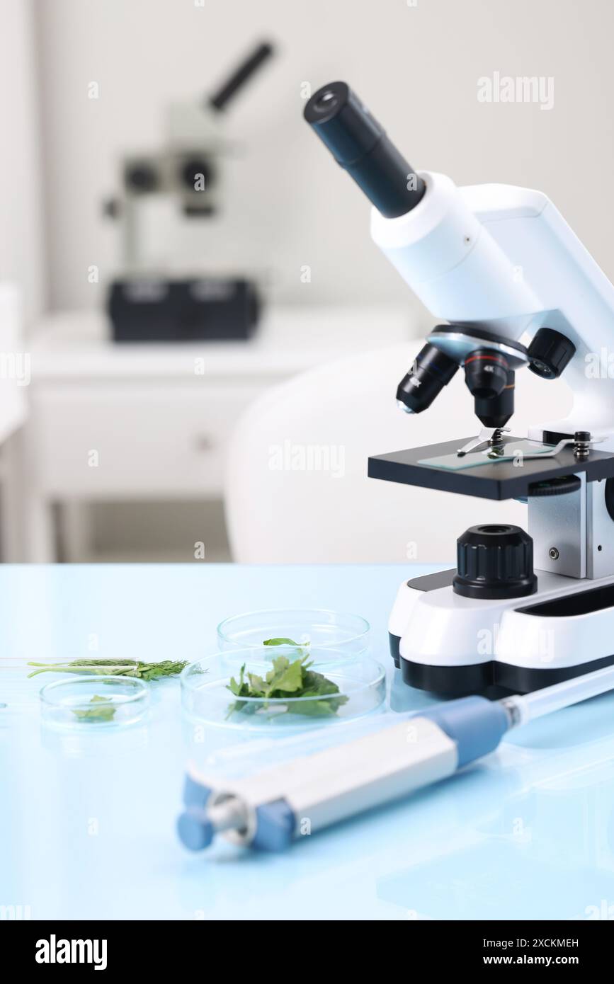 Food quality control. Microscope, petri dishes with herbs and other ...