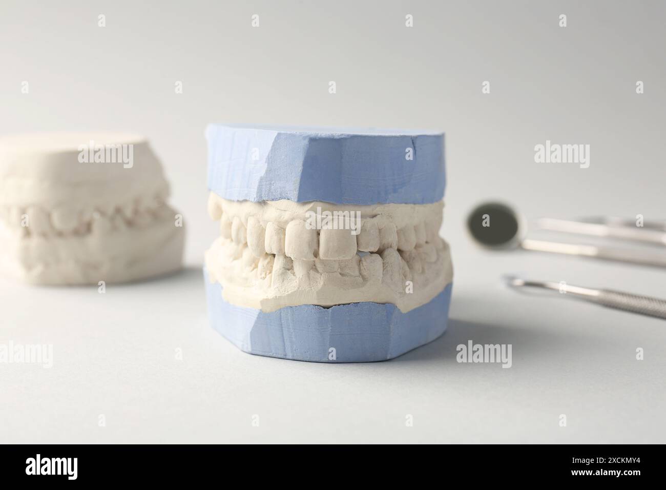 Dental models with gums and dentist tools on gray background. Cast of ...