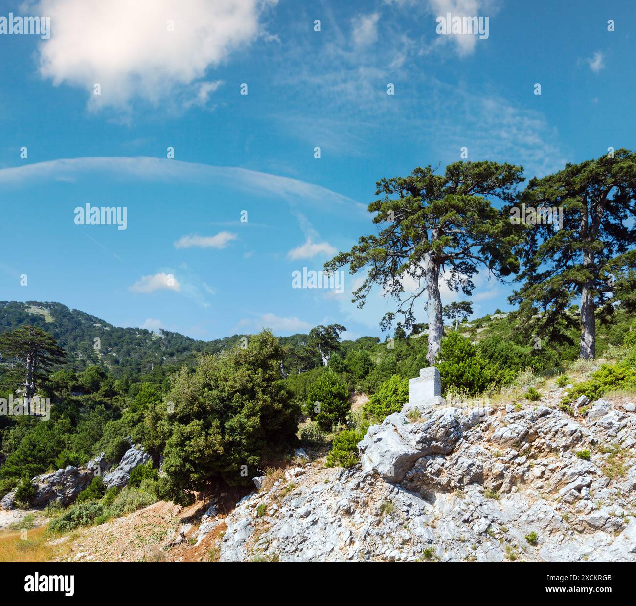 Summer Llogara pass view with pine trees on mountainside (Albania Stock ...