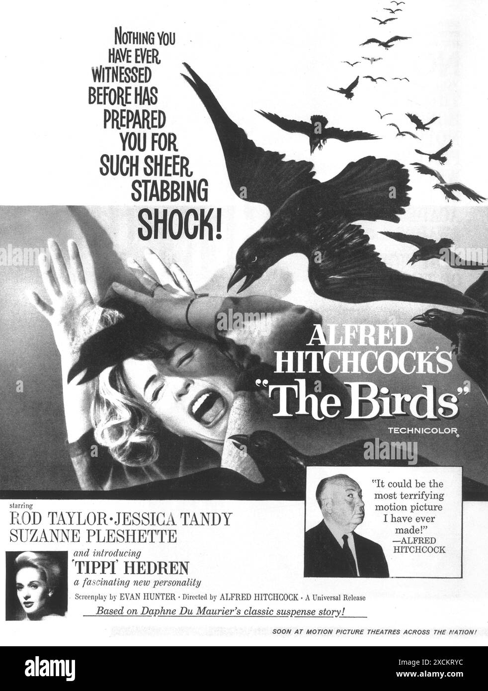 1963 Alfred Hitchcock's The Birds film poster Stock Photo - Alamy