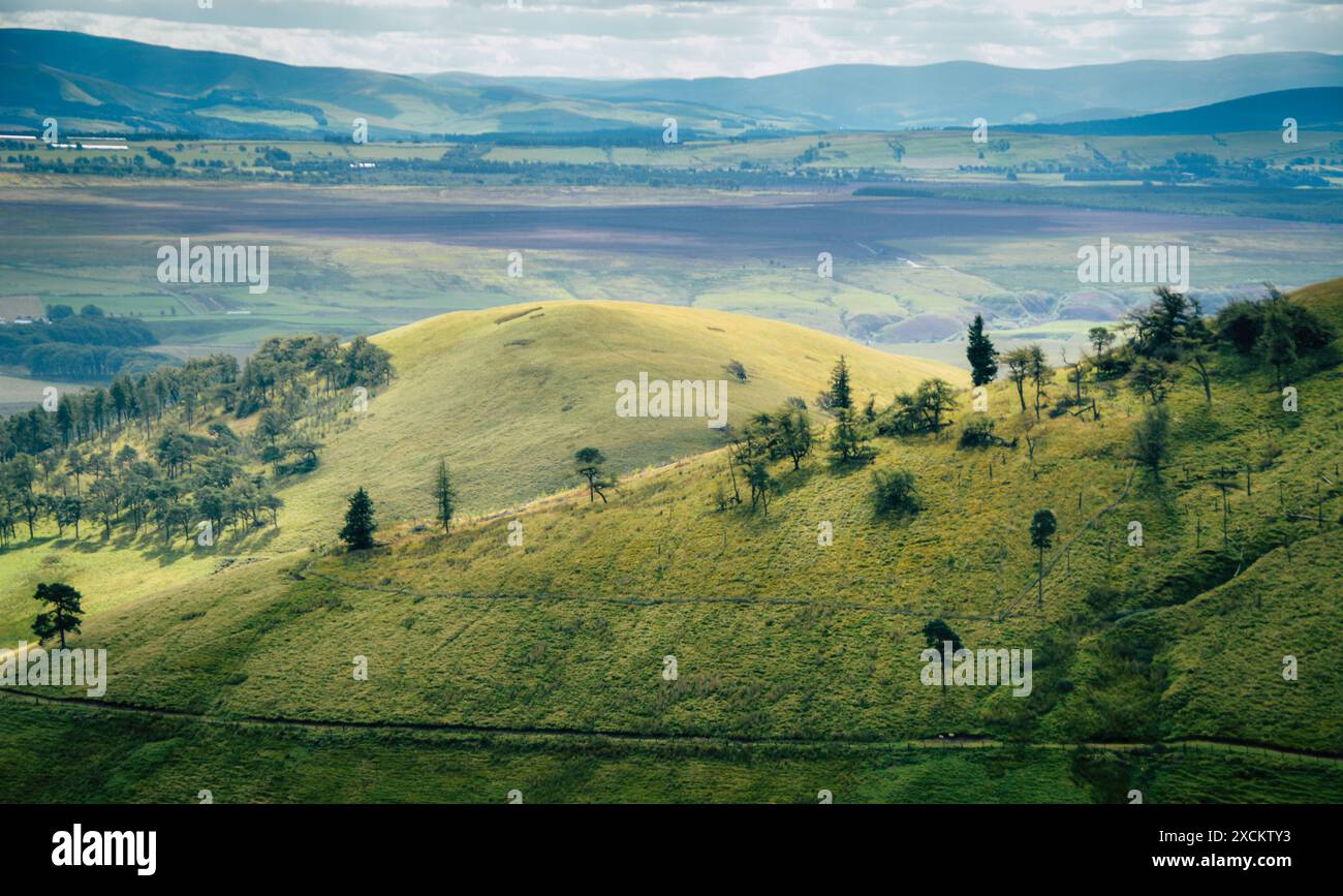 Landscape photograph of a green hill sprinkled with trees in the ...