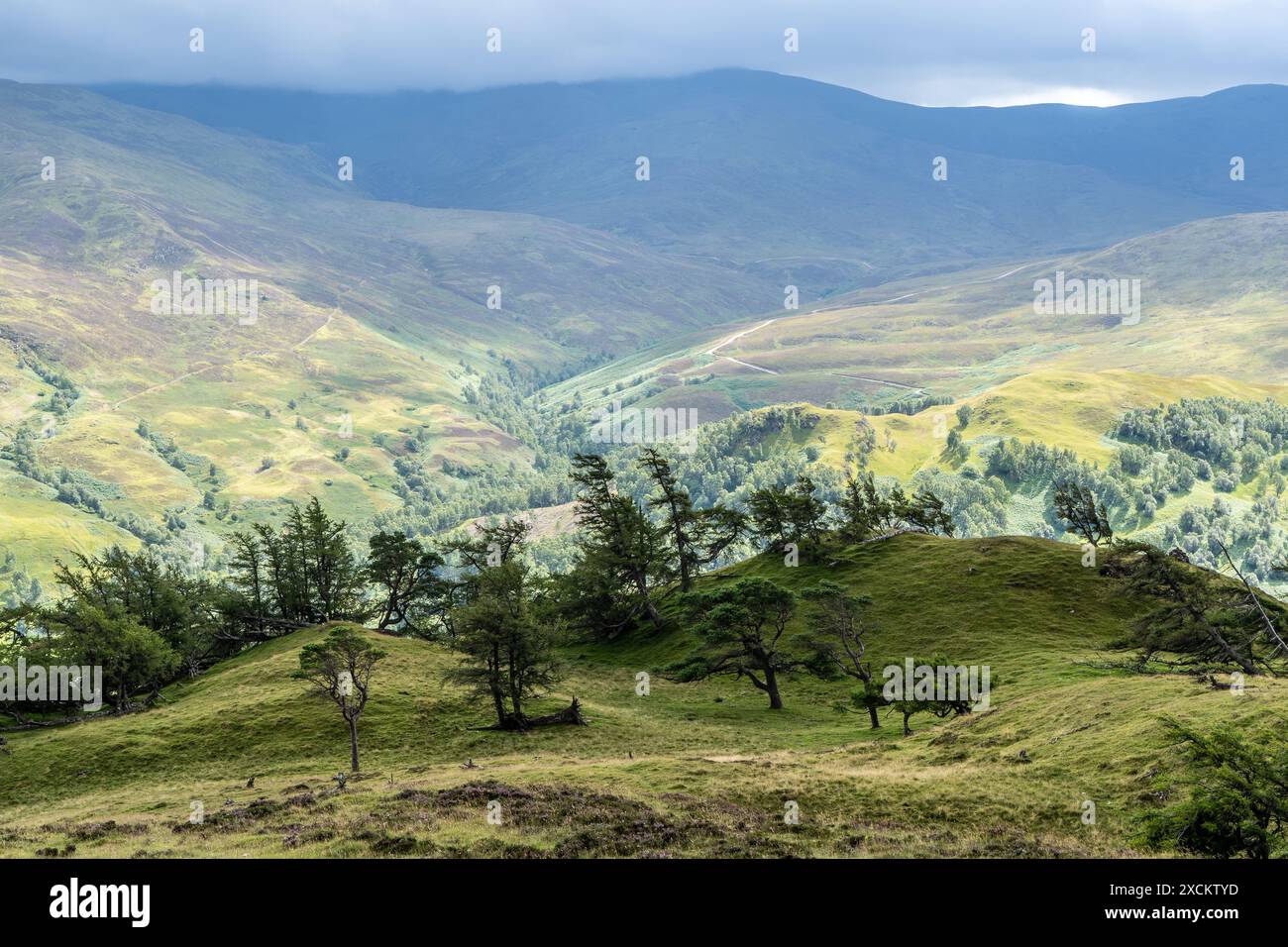 Landscape photograph of a valley and surrounding mountain range in the ...