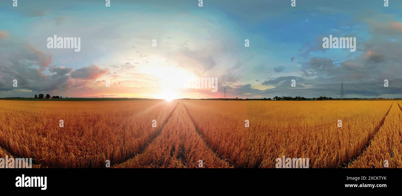 Field wheat landscape scenery hi-res stock photography and images - Alamy