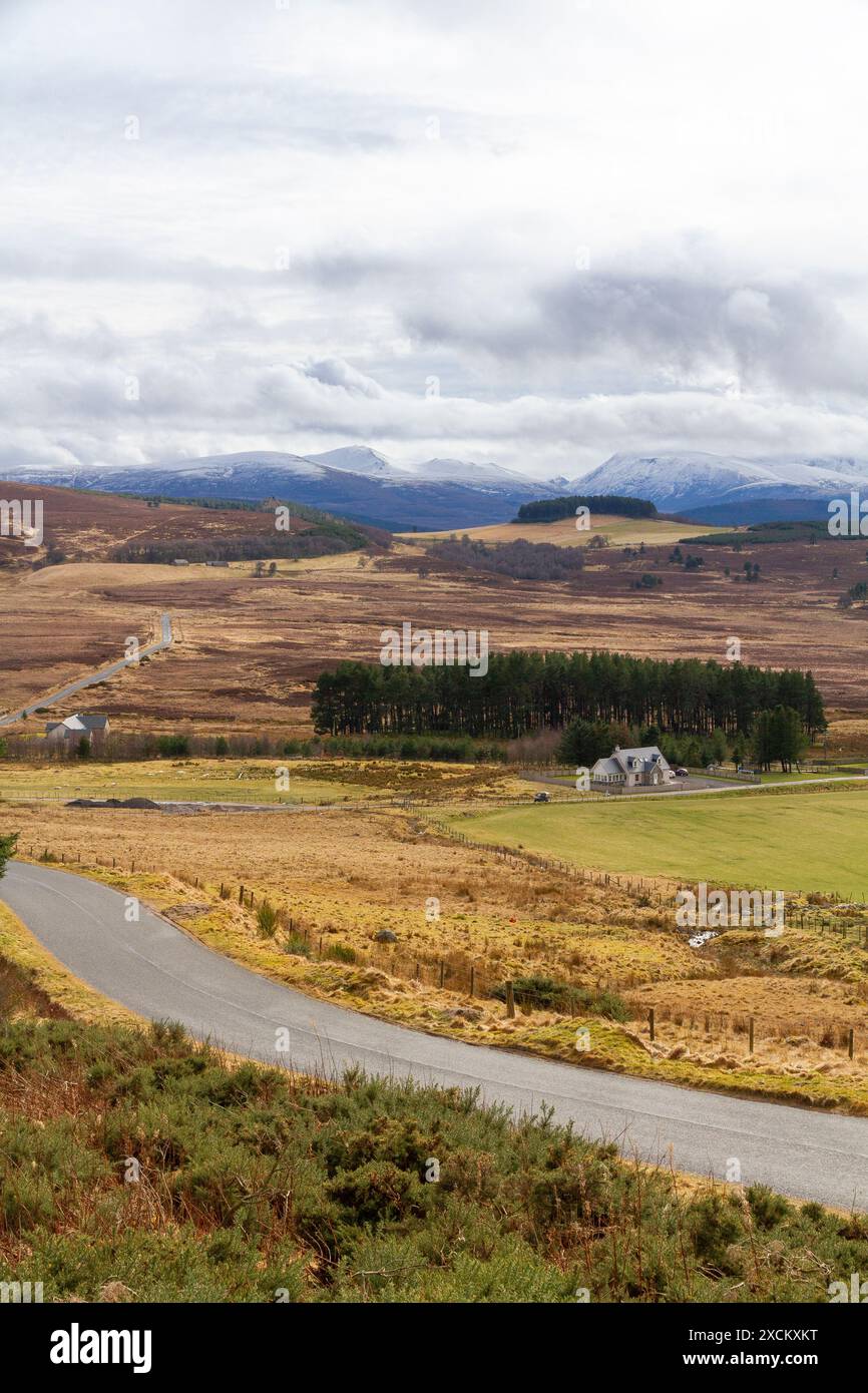 Rural views of Cairngorms National Park; Aviemore; Scotland; UK Stock ...