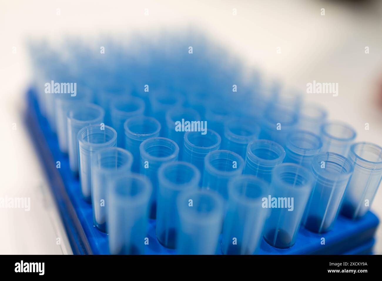 closeup of a pile of blue pipette tips with out-of-focus background ...