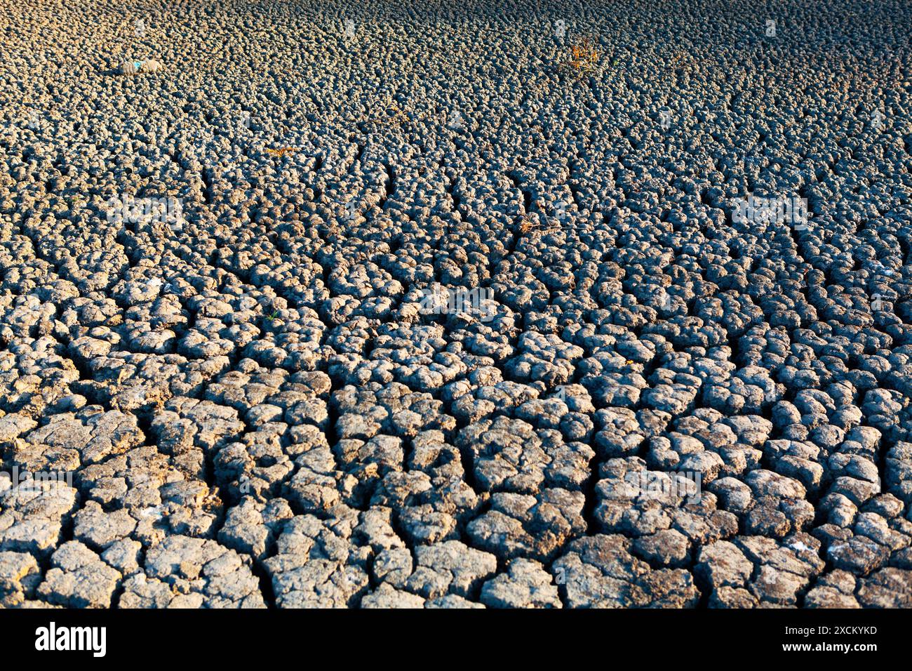 Soil textere hi-res stock photography and images - Alamy