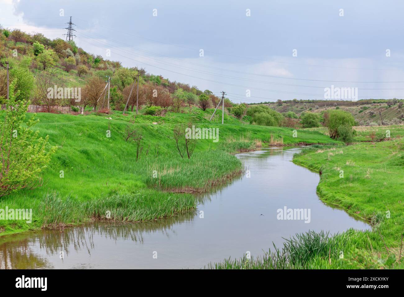 Winding stream through meadow wildflowers hi-res stock photography and ...