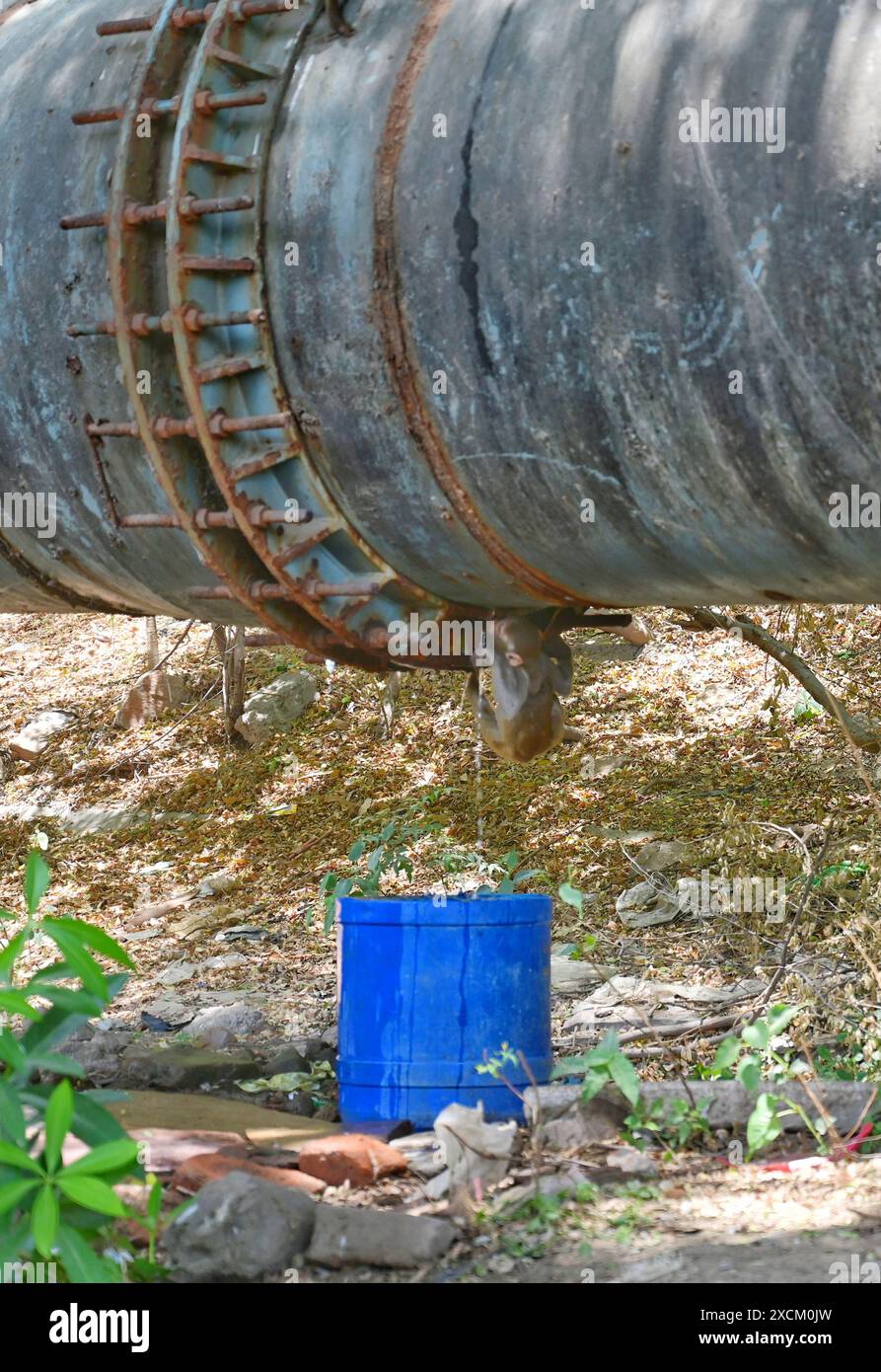 NEW DELHI, INDIA - JUNE 17: A water pipeline of Delhi Jal Board seen ...