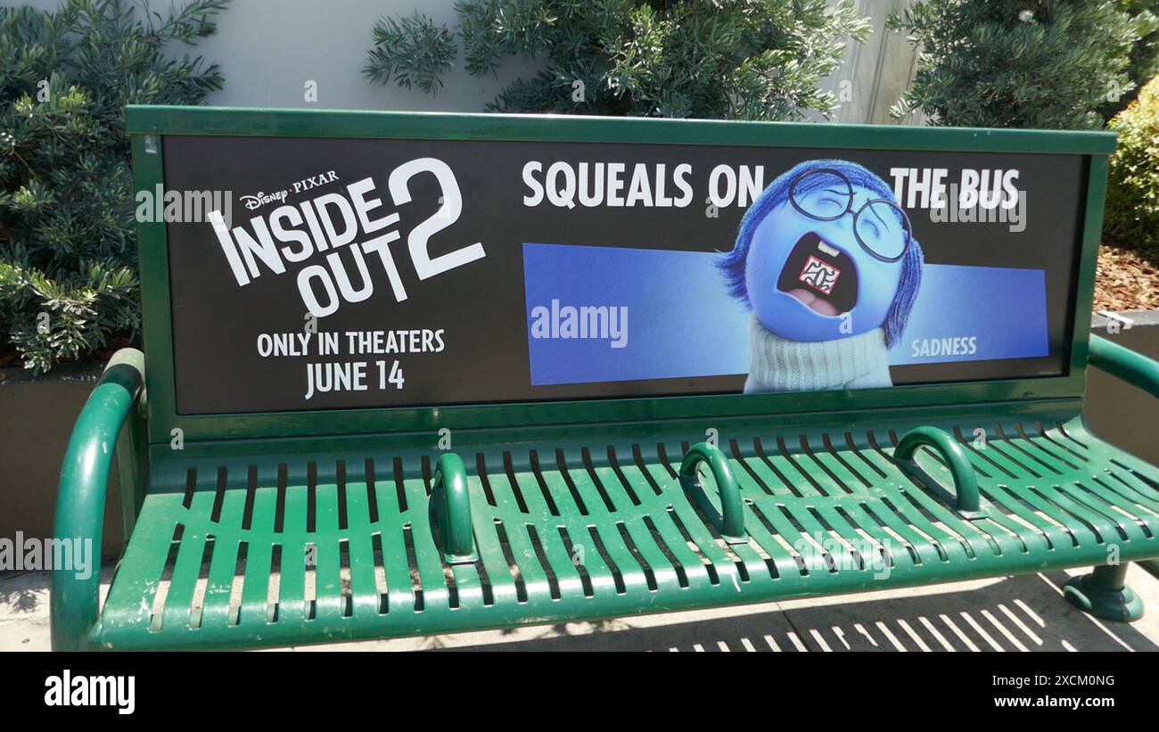 Los Angeles, California, USA 14th June 2024 Disney Pixar Inside Out 2 ...
