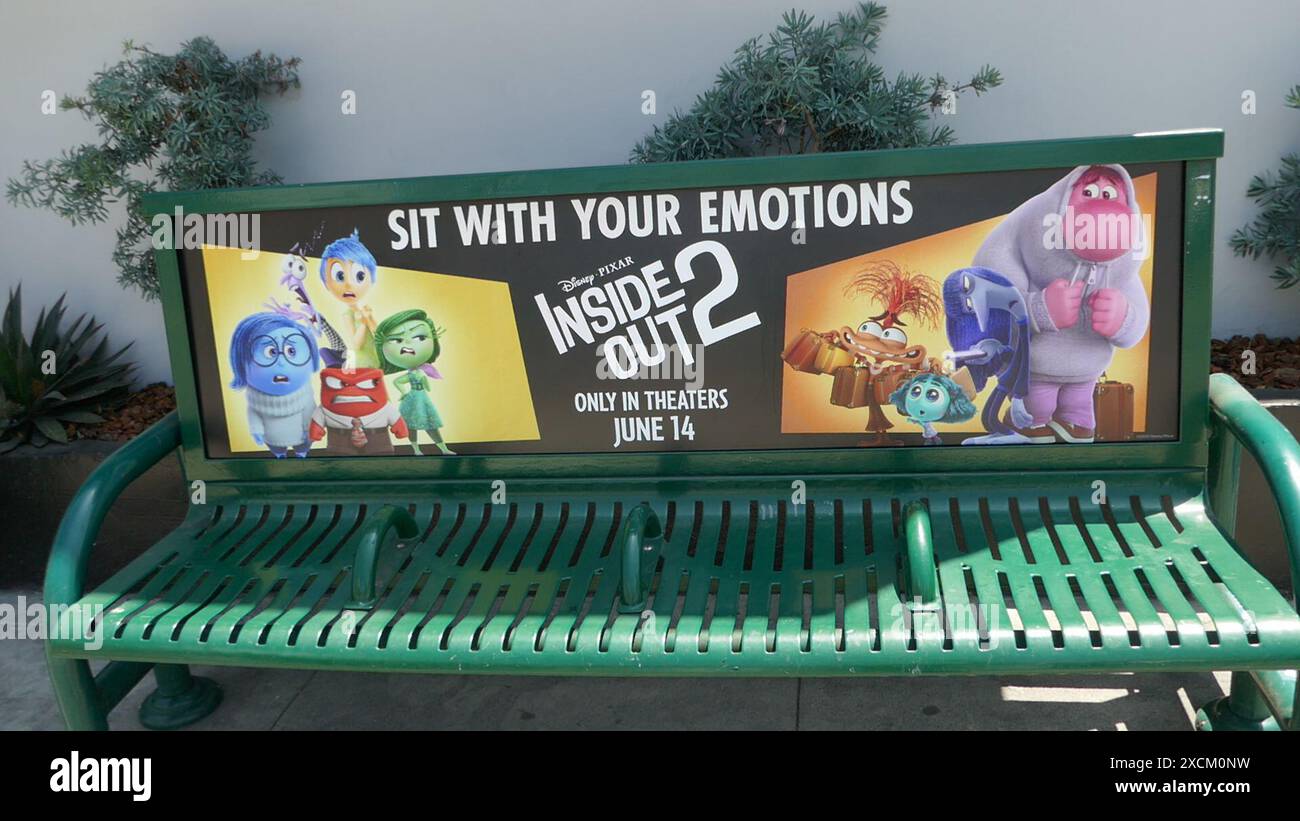 Los Angeles, California, USA 14th June 2024 Disney Pixar Inside Out 2 ...