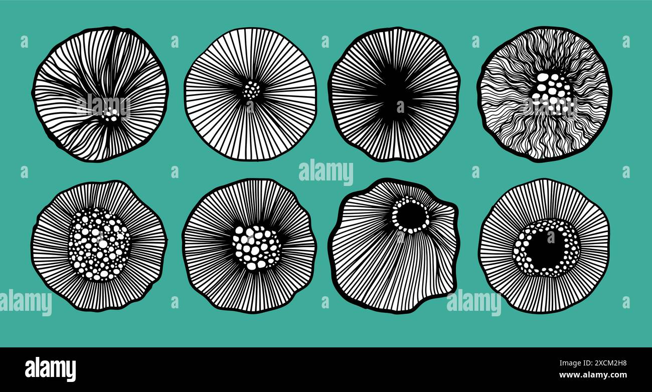Set of black graphic elements. Graphic round flowers. Hatching. hand ...