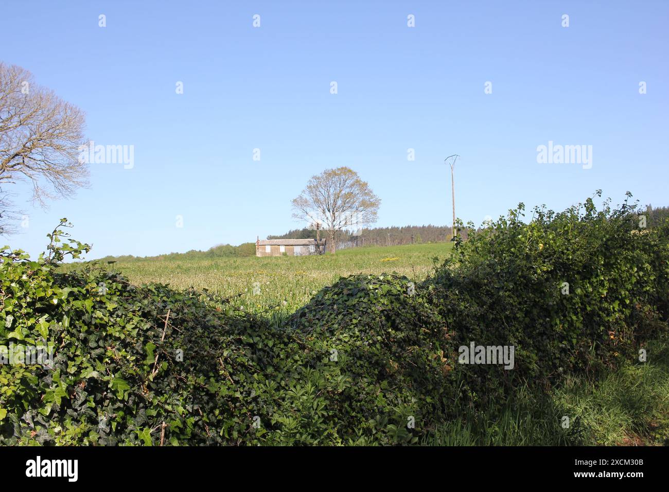 old house near a tree in the countryside Stock Photo - Alamy