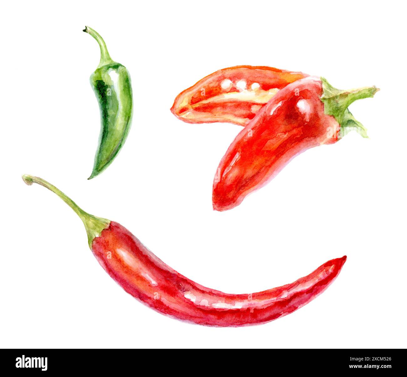 Watercolor Chili Peppers Red and Green Artistic Illustration with ...
