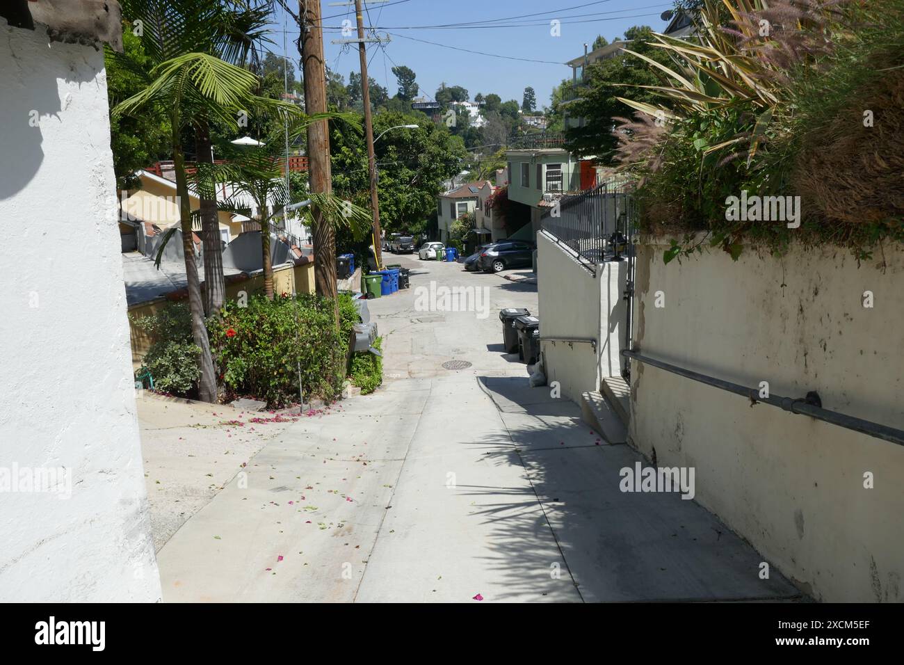 Los Angeles, California, USA 14th June 2024 Actress Yancy Butler Former ...