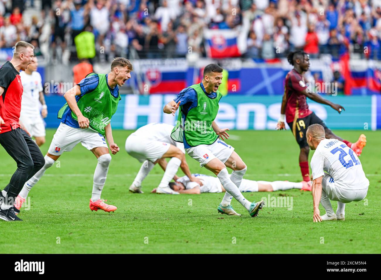 Team Slovakia celebrates their 0-1 win after a soccer game between the ...