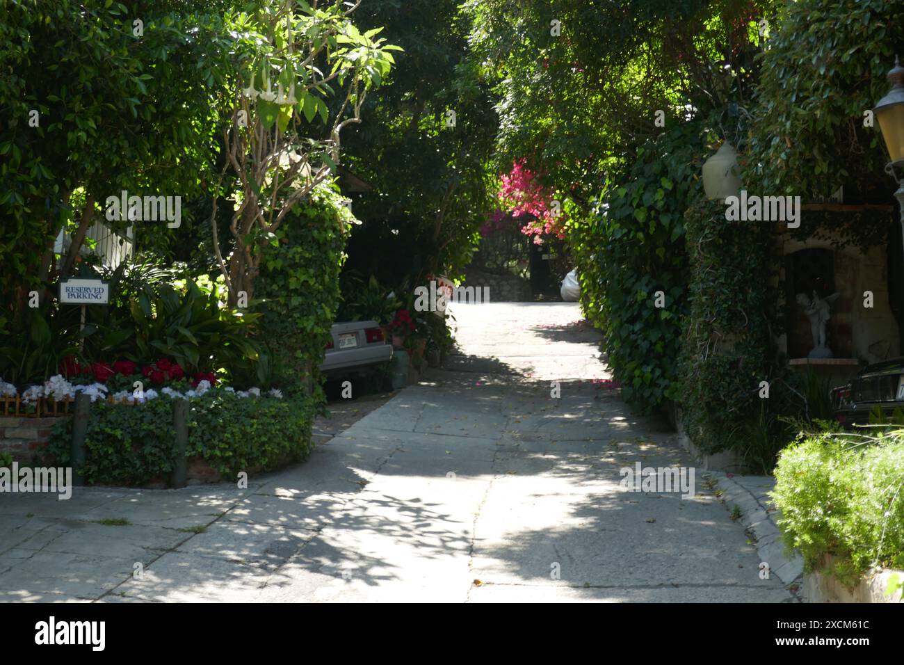 Los Angeles, California, USA 14th June 2024 Actor Robert Mailhouse ...