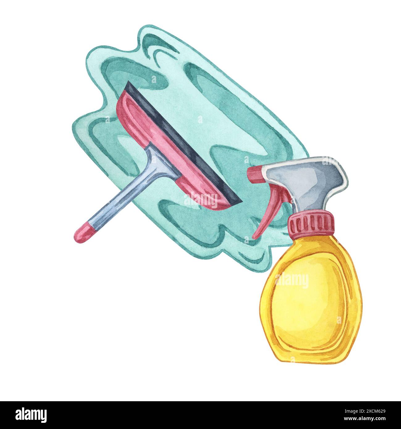 Spray bottle and squeegee for window cleaning task or shower ...