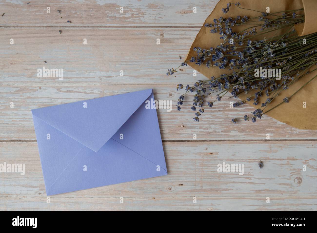 Empty violet envelope paper template mock up. Copy space for your text ...