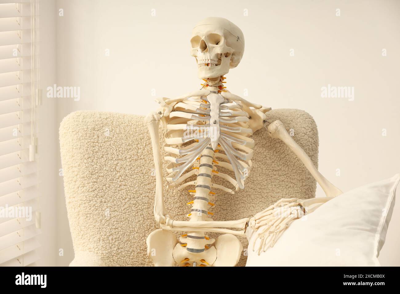 Skeleton relaxing in chair hi-res stock photography and images - Alamy